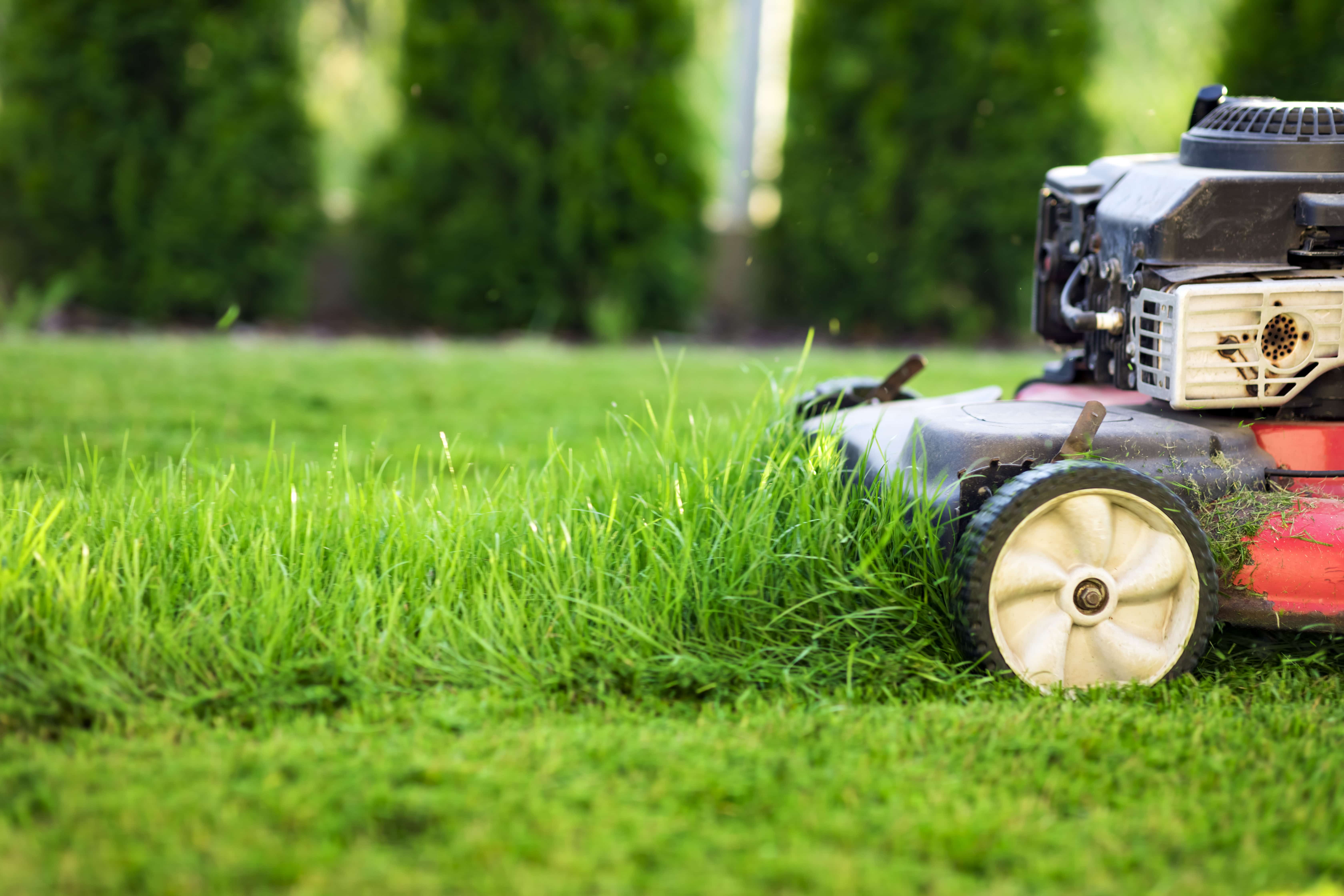 Bootstrap Lawn Care & Services Offers Hedge Trimming in Seattle, WA 98125